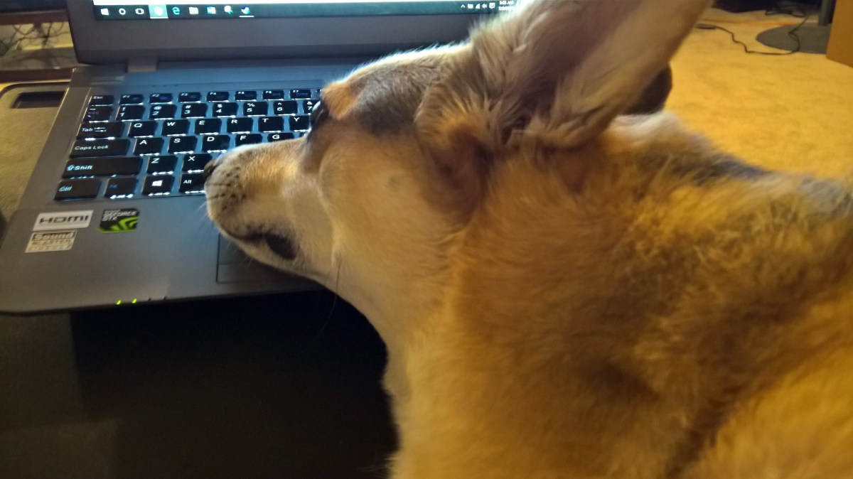 How I Game – Falcon Game Reviews